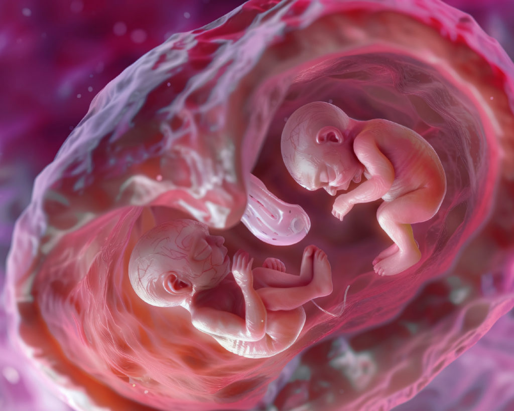Fetal medicine
